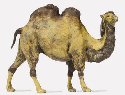 HO Camel – Winkie's Toys & Hobby